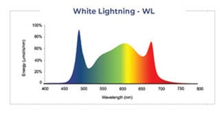Advanced LED Lighting Solutions | TSRgrow